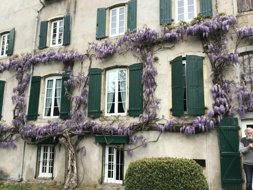 Otel Maison Laclède, , foto