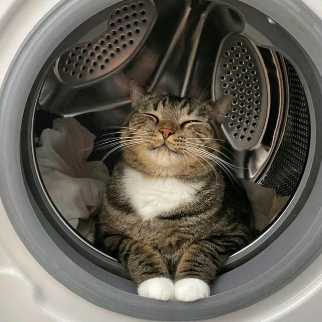 Beyaz eşya servisleri New Service, Almatı, foto