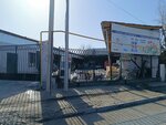 Building Materials (Shymkent, Jibek Joly dańǵyly), yapı mağazası  Çimkent'ten (Şımkent'ten)