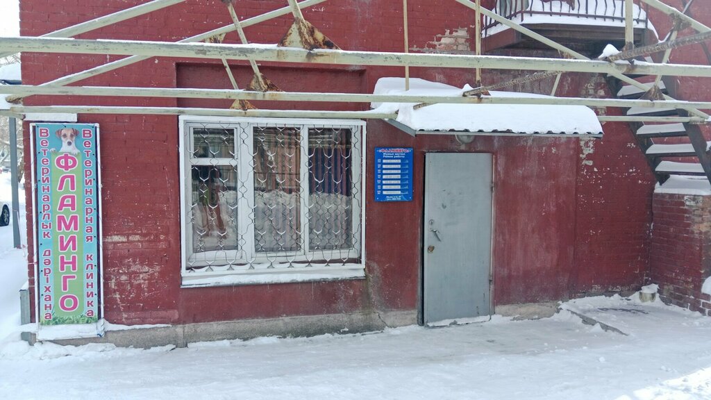 Veteriner klinikleri Flamingo, Öskemen (Ust‑Kamenogorsk), foto