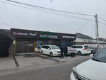 Paintless Dent Removal Center (Týrmahan Orynbaev kóshesi No:75), detaylı oto bakımı  Çimkent'ten (Şımkent'ten)