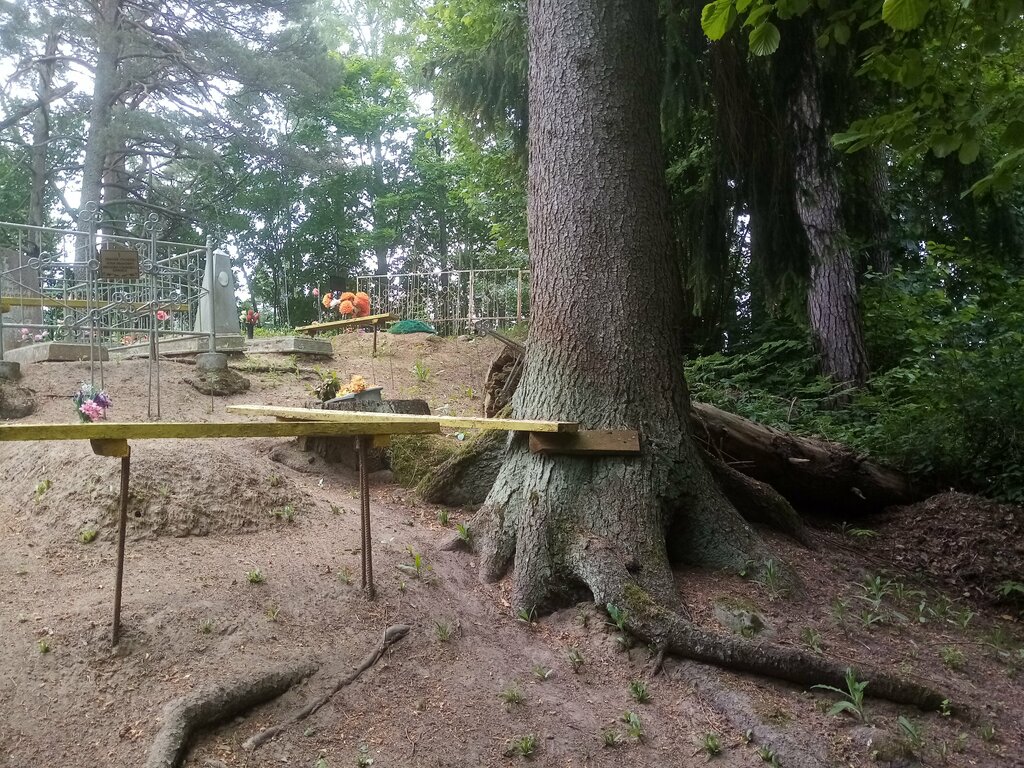 Mezarlıklar Старое кладбище, Pskovskaya oblastı, foto