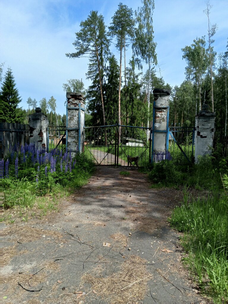 Unutulmaz olayların yeri Заброшенный пионерлагерь, Nijegorodskaya oblastı, foto