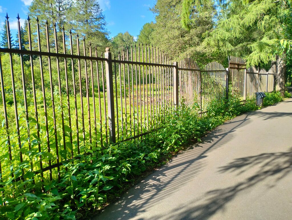 Bahçe Exposition of plants of natural flora, Moskova, foto
