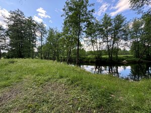 Матвеев бережок (Vladimir Region, Selivanovskiy District), piknik alanı  Vladimirskaya oblastından