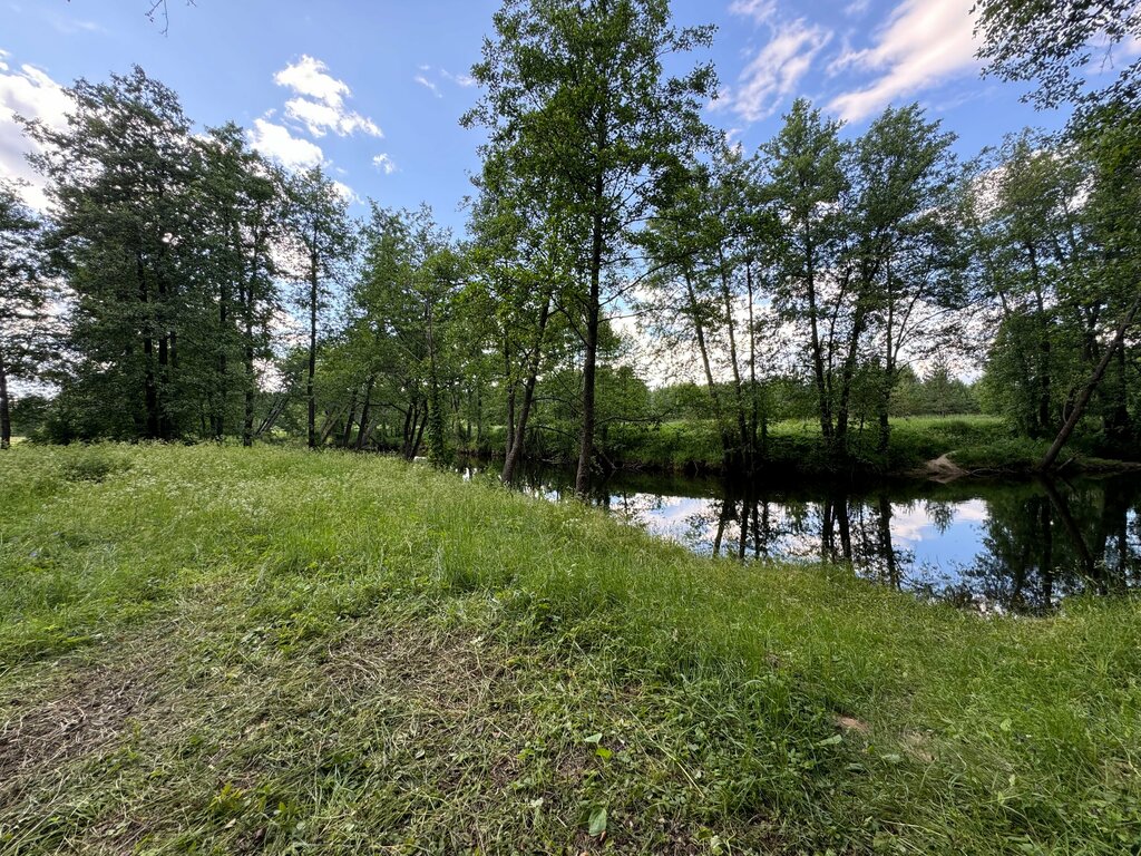 Piknik alanı Матвеев бережок, Vladimirskaya oblastı, foto