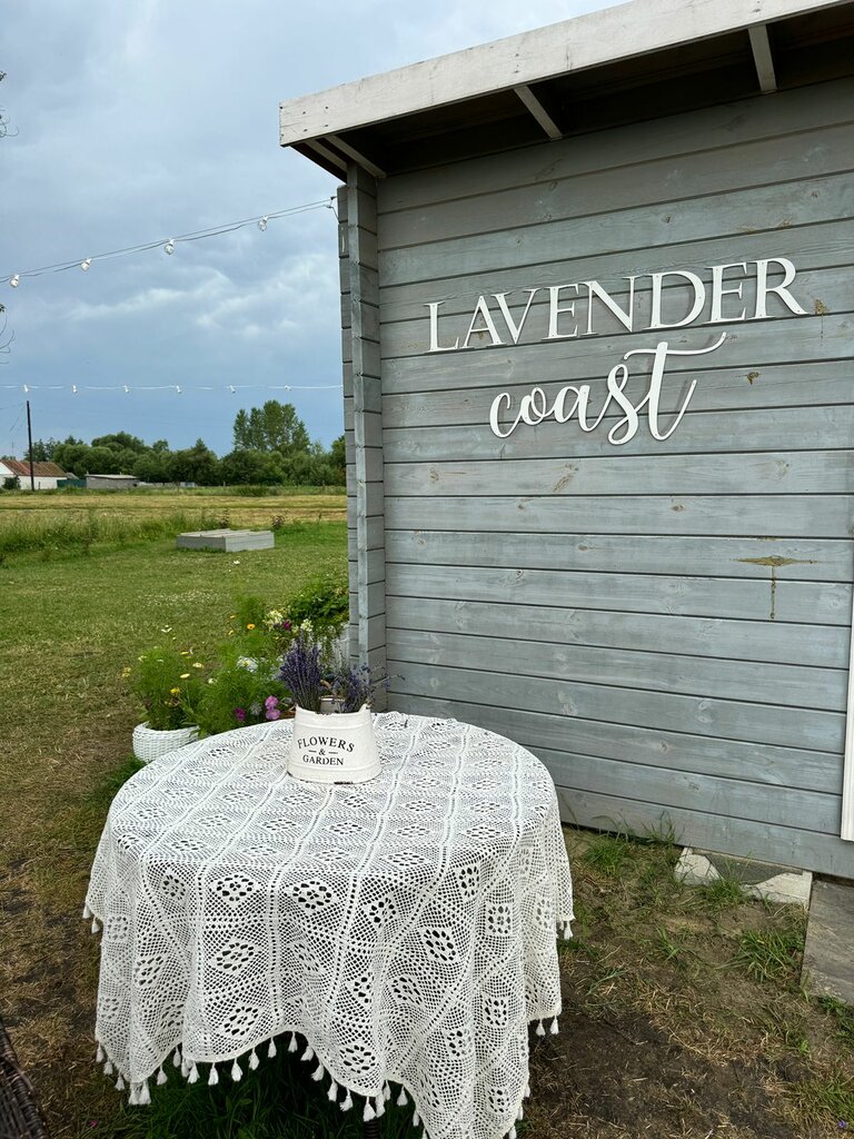 Fidan yetiştiriciliği Лавандовый берег, Kurskaya oblastı, foto