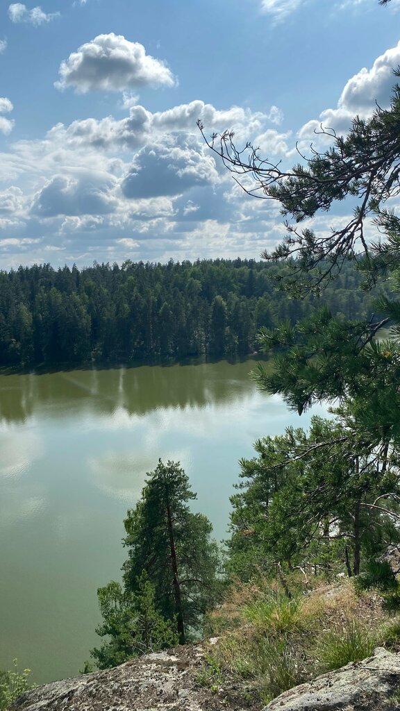 Kamp alanları Площадка для стоянки и отдыха альпинистского клуба Политех, Saint‑Petersburg ve Leningradskaya oblastı, foto