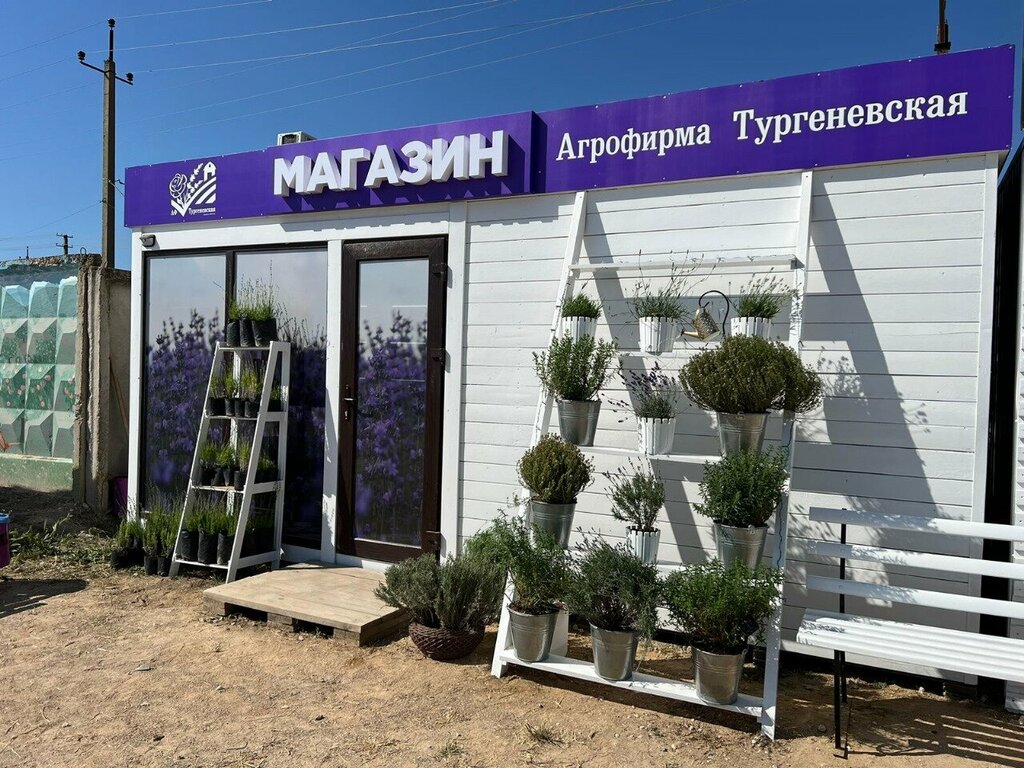 Tarım firmaları Агрофирма Тургеневская, Kırım Cumhuriyeti, foto