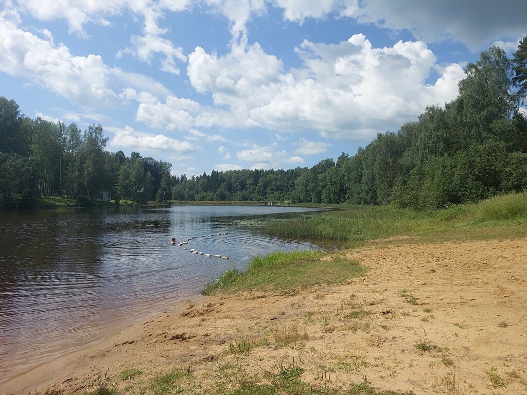 Plaj Beach, Kostromskaya oblastı, foto