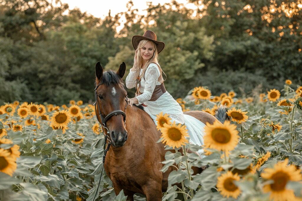 At ve binicilik kulüpleri Gold Mystang, Krasnodarski krayı, foto