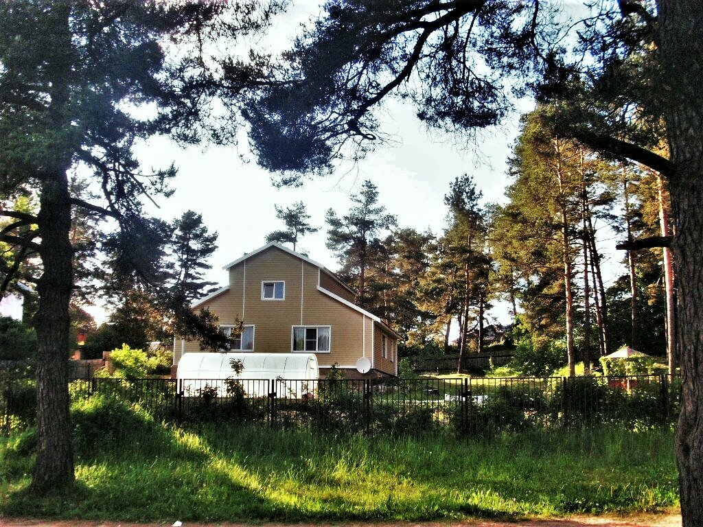 Konuk evi Dom u Sosen, Pskovskaya oblastı, foto