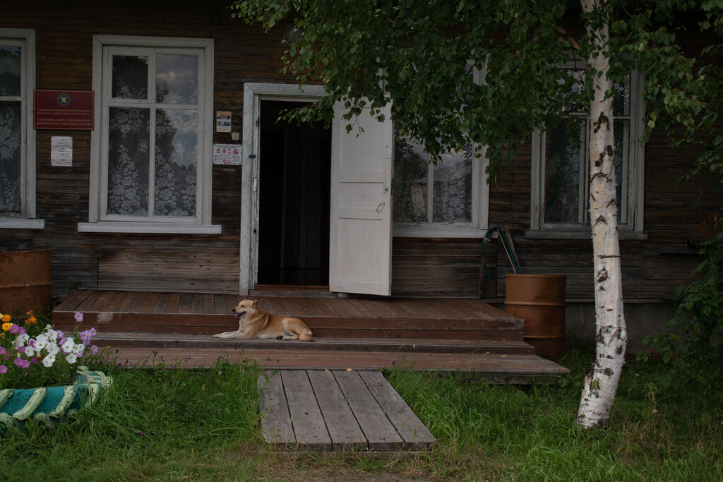 Aile sağlığı merkezi Safonovsky Medpunkt, Arhangelskaya oblastı, foto