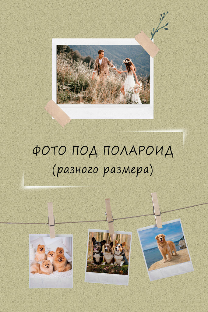 Fotoğraf hizmetleri ФотоДом, Vladimir, foto