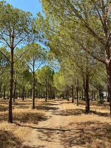 Park Didim (Aydın, Didim, Altınkum Mah., Park Didim), kültür ve eğlence parkları  Didim'den