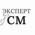 Expert SM (Dmitrovskoye Highway No:100), muhasebeciler  Moskova'dan
