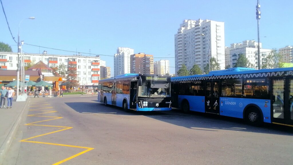 Toplu taşıma durağı Metro Kuzminki, Moskova, foto