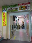 Магазин зоотоваров (ulitsa Zhukovskogo No:32, mikrorayon Raduga), petshop  Omsk'tan