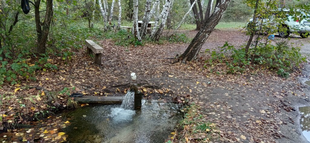 Pınar, çay Spring, stream, Rostovskaya oblastı, foto