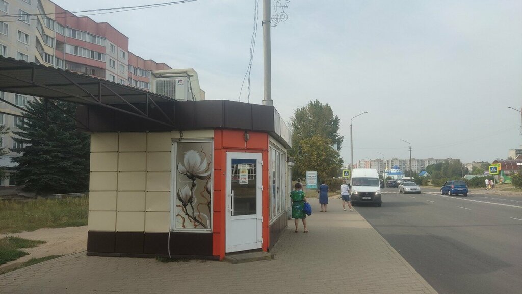 Çiçekçiler Цветы, Bobruisk, foto