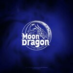 Moon Dragon (Chasovaya Street No:23/8к1), ses kayıt stüdyoları  Moskova'dan