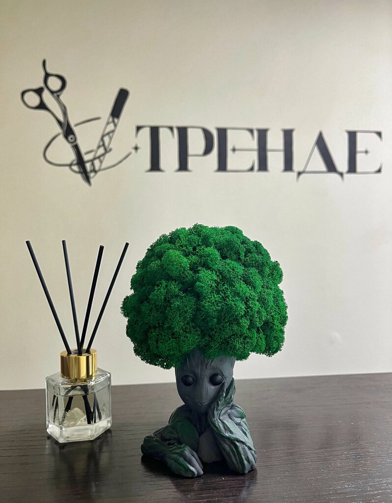 Güzellik salonu В тренде, Nijni Novgorod, foto