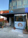 Esen Life Hotel (İstanbul, Pendik, Ankara Cad., 218B), otel  İstanbul'dan
