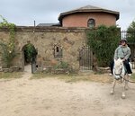 White Horse House (No:216, Rostov-on-Don, ST Svetly put), at ve binicilik kulüpleri  Rostov‑na‑Donu'dan