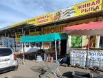 Магазин овощей и фруктов (Dubrovina Street No:3В), manavlar  Voronej'den