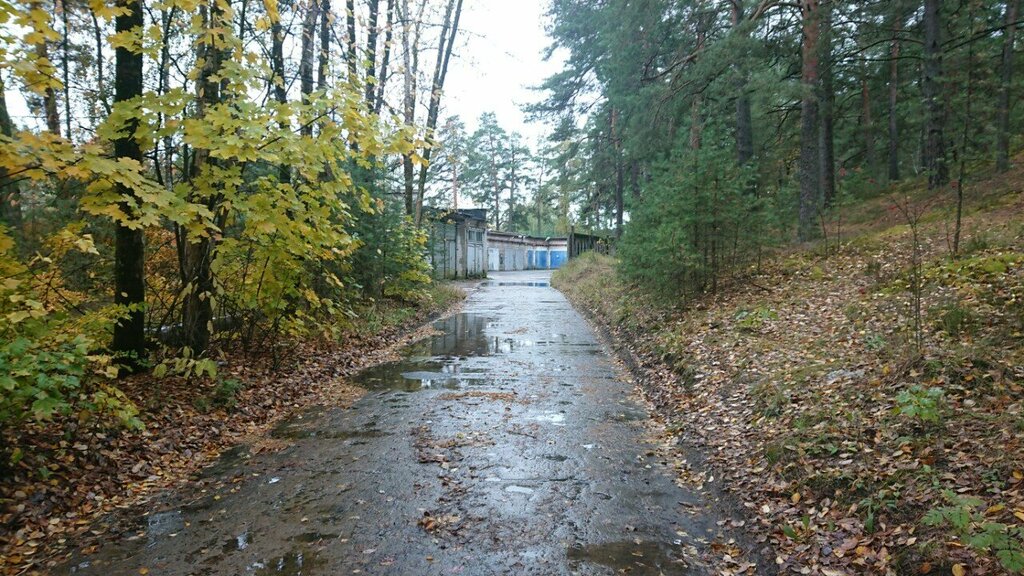 Garajlar ГК Электрон-3, Sosnoviy Bor, foto