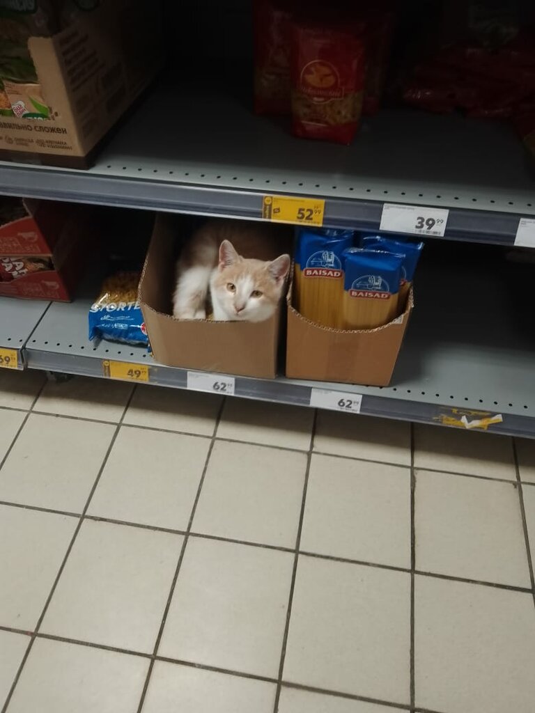 Süpermarket Pyatyorochka, Ulyanovskaya oblastı, foto