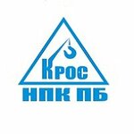 Cross (Sanatorny proyezd No:1/1), elektronik cihaz ve parça firmaları  İvanteyevka'dan