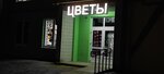 Цветочный Соблазн (Bresckaja voblasć, Zhabinka), çiçekçiler  Jabinka'dan
