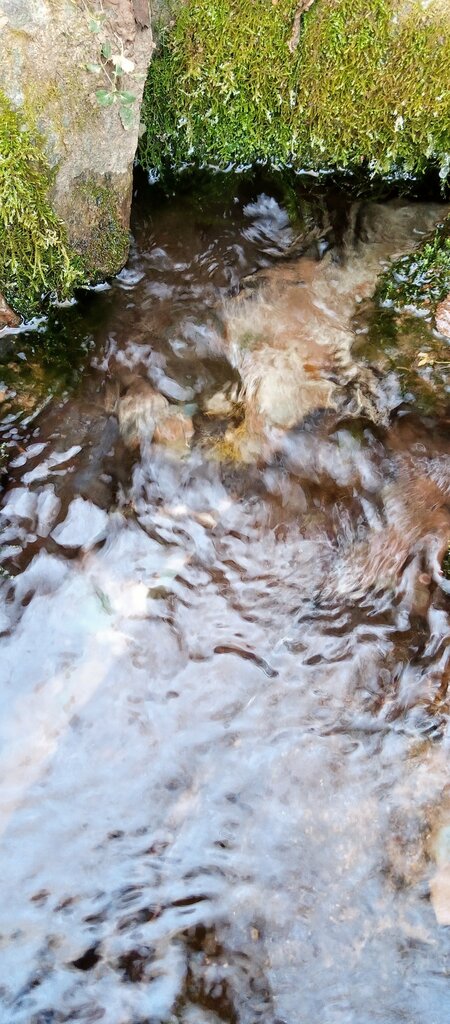 Maden suları, pınarlar ve çeşmeler Аксаевский источник, Mariy El Cumhuriyeti, foto