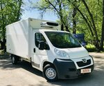 БНТ (Ryabinovaya Street No:10, Vostryakovo Subdistrict), lojistik firmaları  Domodedovo'dan