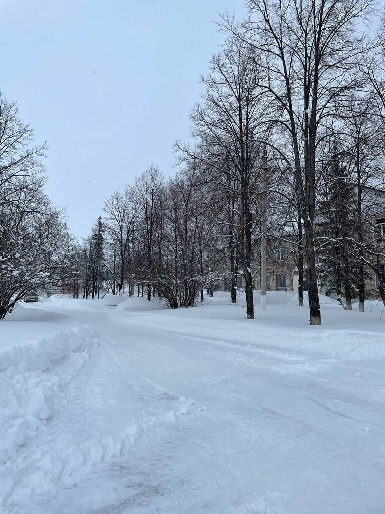 Meslek yüksekokulu Sergiyevsky zooveterinarny tekhnikum otdel Npo Gou Spo, Samarskaya oblastı, foto