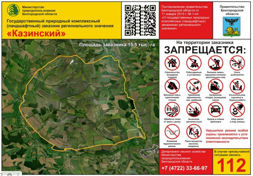 Orman урочище Березовое, Belgorodskaya oblastı, foto