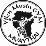 Vilen Musin Gym (ulitsa Rabkorov No:16/1), spor kurumları  Ufa'dan