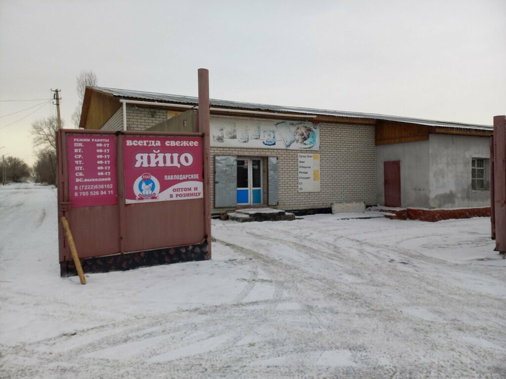 Kanatlı hayvan ürünleri ve yumurta Pavlodar Egg, Semey, foto