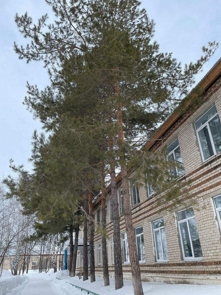 Meslek yüksekokulu Sergiyevsky zooveterinarny tekhnikum otdel Npo Gou Spo, Samarskaya oblastı, foto