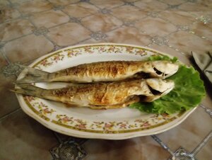 Favorit (Набережная улица No:5Ф, село Песчаное), kafe  Kırım Cumhuriyeti'nden