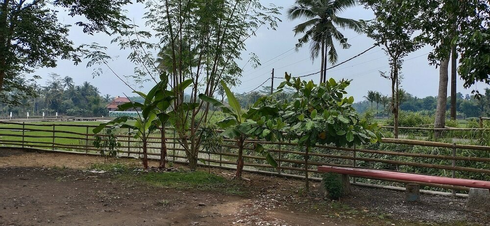 Otel Homestay Griya Merpil, , foto