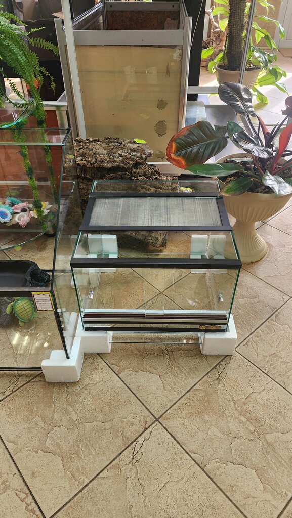 Petshop Terratropik, Lipetsk, foto