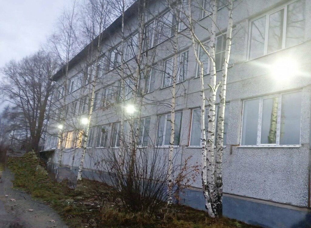 Anaokulları Золотое Зёрнышко, Arhangelskaya oblastı, foto