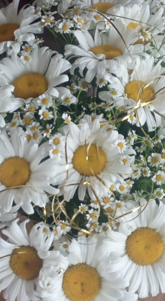 Çiçekçiler Цветы, Yeysk, foto