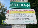 Shpital vieteranaw VAV (Magiliow, Nizhniaja Karabanawskaja vulica), toplu taşıma durağı  Moguilev'den