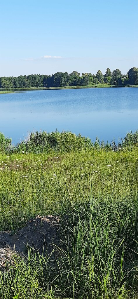 Plaj Острожное, Kalujskaya oblastı, foto