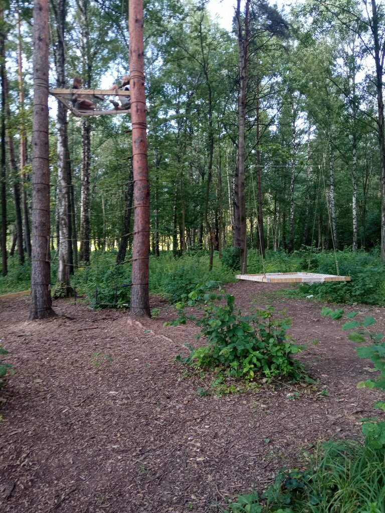 Oyun alanı Playground, Moskova ve Moskovskaya oblastı, foto