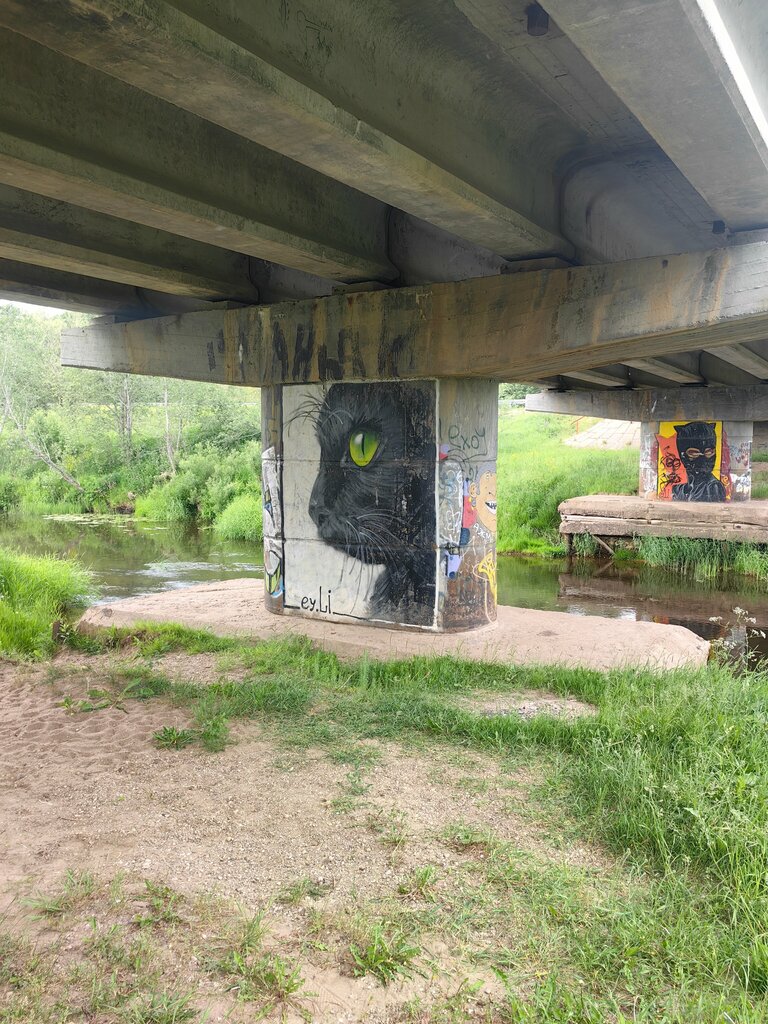 Plaj Beach, Moskova ve Moskovskaya oblastı, foto