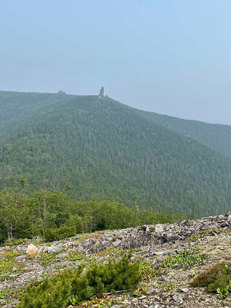 Dağ zirvesi Гора Адзи 772 метра, Habarovski krayı, foto